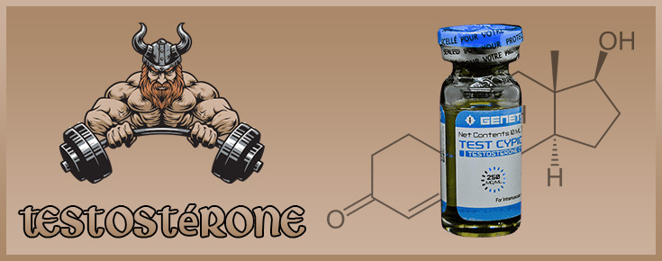 Testostérone en Musculation : Profil du stéroïde anabolisant (injection)