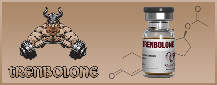 Trenbolone : Profil du stéroïde anabolisant (Parabolan)