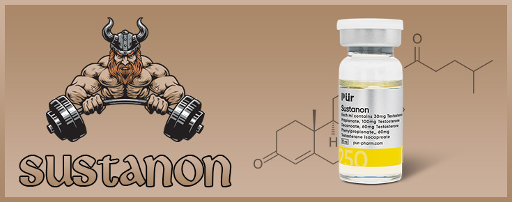 Sustanon : Le chouchou des bodybuilders pour des gains XXL